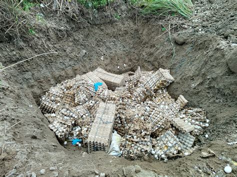 Da Bai Vqs Apprehends 240000 Pieces Undocumented Table Eggs Da