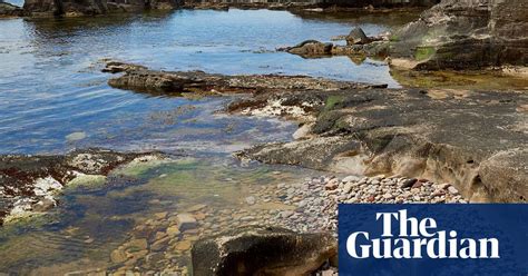 Artificial Rockpools In South Of England Successfully Attract Sea