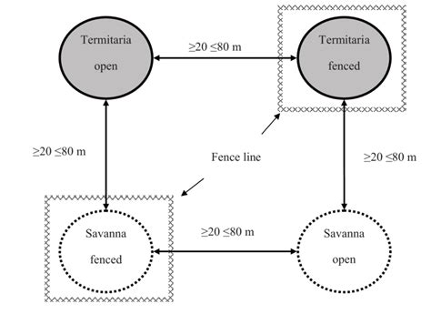 Field Experiment Setup Each Site N Consisted Of Four Plots Download Scientific Diagram