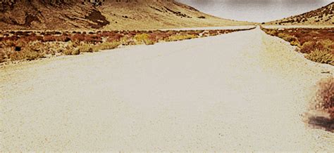 Tumbleweed S Cen