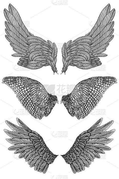 一对展开不同形状的鹰、隼、鹰鸟翅膀。一对天使的翅膀。向量。