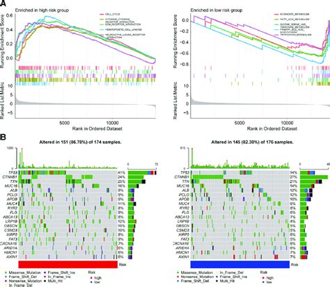 Comparison Of The Single Sample Gene Set Enrichment Analysis Gsea Download Scientific Diagram