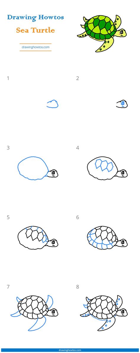 How To Draw A Sea Turtle Step By Step Easy Drawing Guides Drawing Howtos