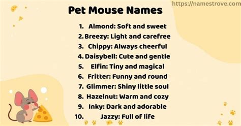 450 Best Mouse Names Cute Funny And Unique Ideas Names Trove