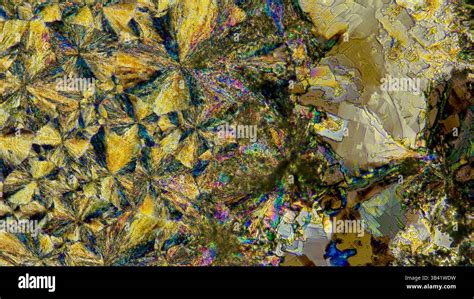 Polarised Light Micrograph Of Paracetamol Acetaminophen Crystals Paracetamol Is An Analgesic