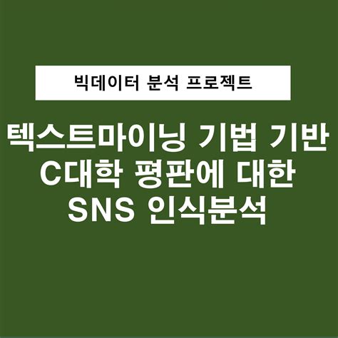 빅데이터 분석 프로젝트 텍스트마이닝 기법 기반 C대학 평판에 대한 Sns 인식분석 데이터 전처리·분석·시각화 포트폴리오 크몽