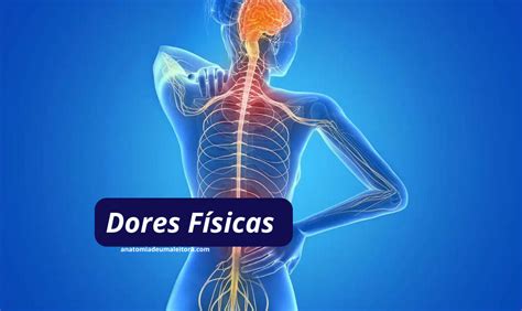 Dores Físicas Suas Conexões Com As Causas Emocionais · Anatomia De Uma