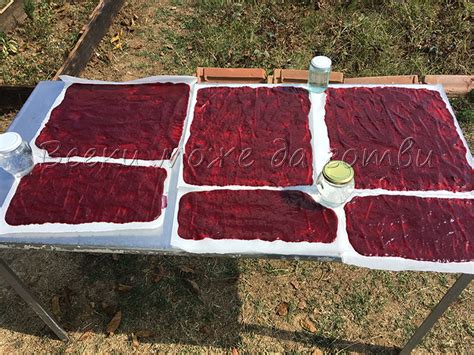 Пестил БЕЗ захар от сини сливи лесна рецепта