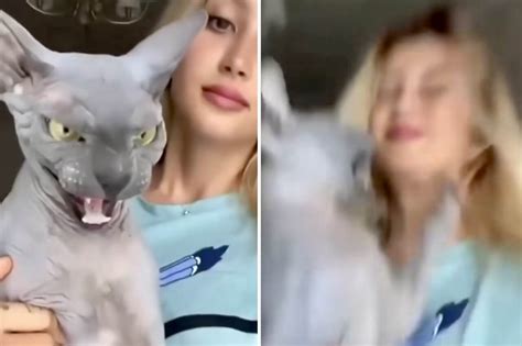 Video Meet The Fiercest And Scariest Sphynx Cat Pet E Pop