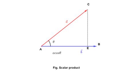 Scalars And Vectors Vector Multiplication Short Questions And Numerical Problem Solutions