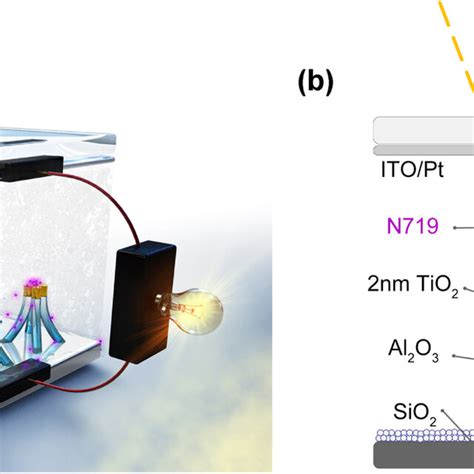 Schematic Configuration Of Plasmonic Dsscs Under Illumination Of Download Scientific Diagram