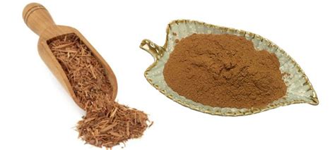 Pembekal Serbuk Ekstrak Catuaba Berkualiti Tinggi Pengilang Kilang Harga Borong Lonierherb