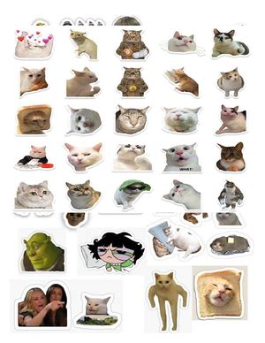 QUIZ Polygons Name Date Section