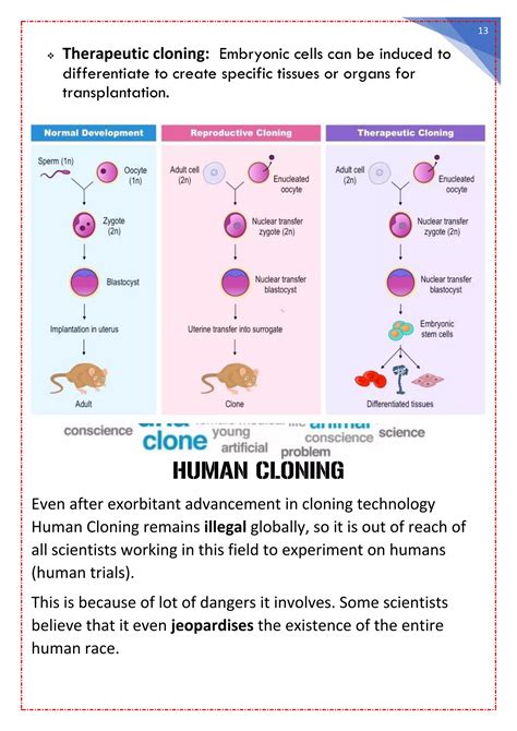 Cloning 101 Biology Investigatory Project Class 12 Pdf