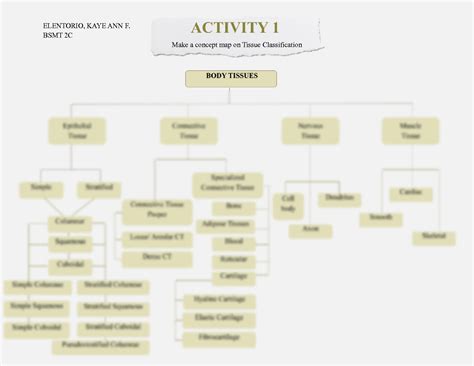 Solution Histology Tissue Classification Concept Map Studypool