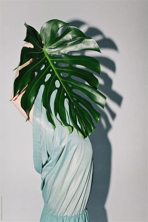 anonymous model with plant by stocksy contributor serge filimonov