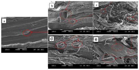 SEM Micrographs Of A Pure LDPE B LDPE 5 Wt JFSF C LDPE 20 Wt Download High Quality