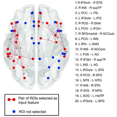 Resting State Functional Connectivity Features Red Dot And Lines Download Scientific Diagram