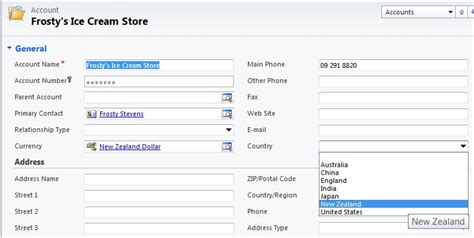 Option Sets In Microsoft Dynamics Crm 2011 Magnetism Solutions Nz Auckland Wellington