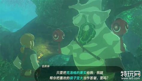 塞尔达传说王国之泪背包格子怎么增加 装备栏增加方法分享 特玩网