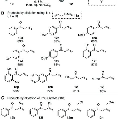 Alkynylation And Arylation Of Sulfinate Ester 10a A Alkynylation