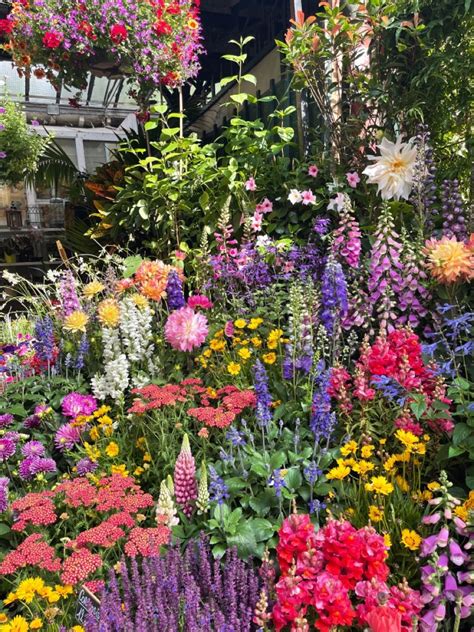 Benefits Of Flowers Gardening Flower Garden Ideas Flower Garden Design