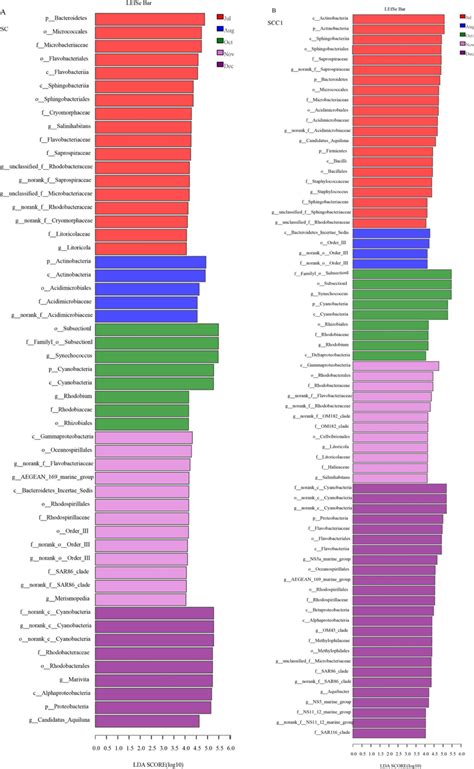 Discriminant Analysis Based On The Multilevel Species Differences In
