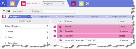 Planisware Multi Phase Project Timeline Onepager