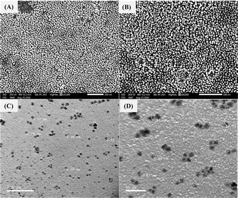 Sem A B And Tem C D Micrographs Of Chitosan Nanoparticles Download Scientific Diagram