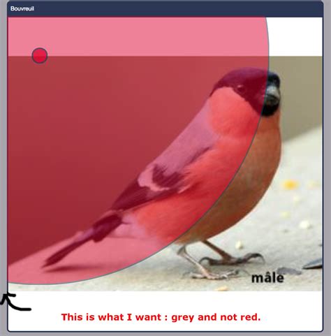 Javascript Css Express And Bootstrap Overflow And Margin Error Stack Overflow
