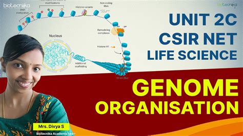 Csir Net Life Science Unit 2c Genome Organization Important Pyq