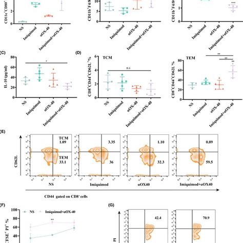 In Situ Vaccination Activated Tumor Microenvironment A Proportions