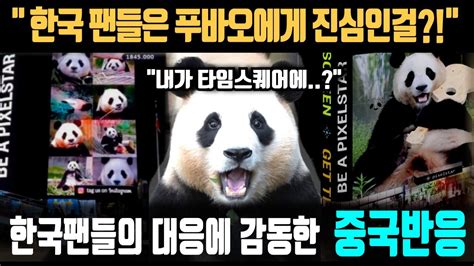 【중국반응】 푸바오를 위해 한국팬들이 이렇게까지 한다고 한국팬들의 대응에 감동하며 감사해하는 중국인들 반응 Youtube
