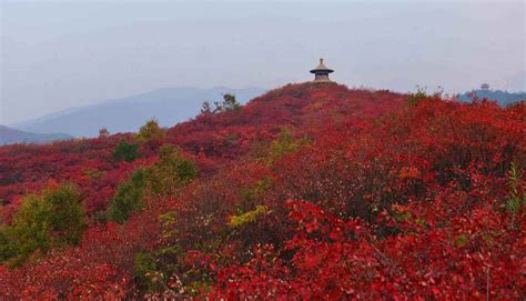 河南桐柏红叶景区桐柏红叶景区桐柏红叶景区大山谷图库