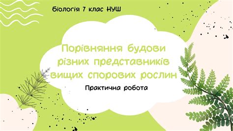Біологія 7 клас НУШ Практична робота Порівняння будови різних представників вищих спорових