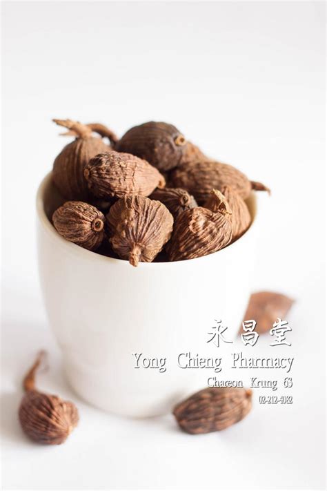 ลูกชะโก