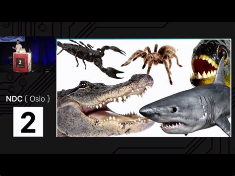 Ndc Conferences Talk Identity Server 4 With Angular And Aspnet Core From Ndc Conferences