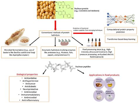 Soybean Protein Structure