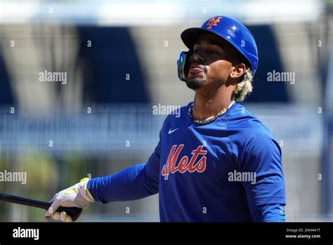 New York Mets Francisco Lindor Pauses While Taking Live Batting