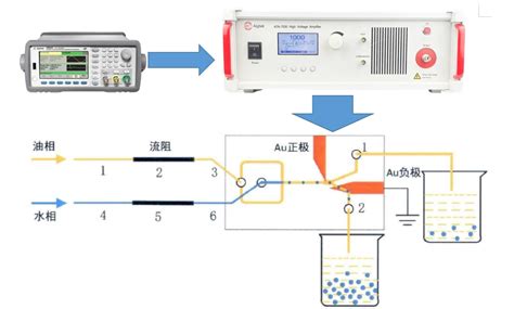 高压放大器在介电泳分选的应用 哔哩哔哩