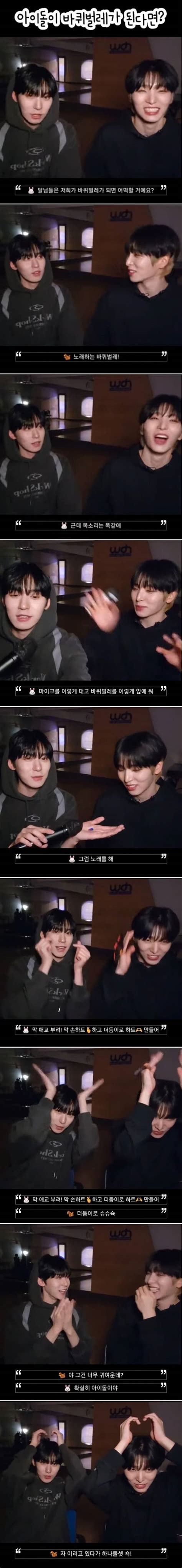 아이돌이 바퀴벌레가 된다면 Feat 더듬이 하트ㅋㅋ 인스티즈 Instiz 이슈 카테고리