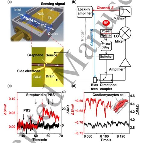 Dielectric Modulated Uhf Gfet Biosensors A Schematic Of Gfet In Rf Download Scientific