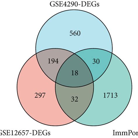 Gene Expression Differential Analysis And Potential Functional