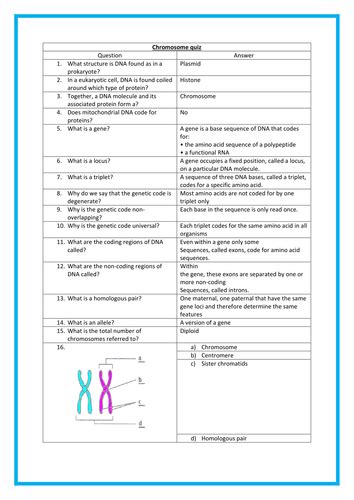 New Aqa Spec Structure Of Rna Teaching Resources
