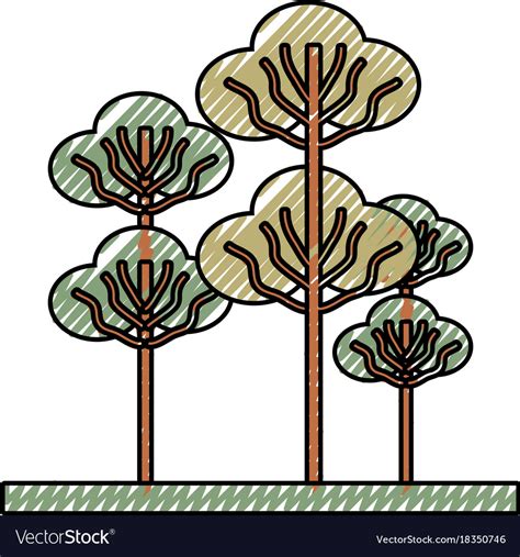 Trees Royalty Free Vector Image Vectorstock