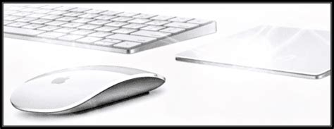 Mouse Or Trackpad Cursor Moves Randomly In Macos And Mac Os X Appletoolbox