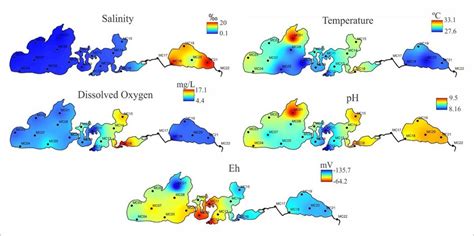 Interpolation Maps Of Water Sediment Interface Parameters In Mgls
