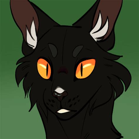 Animations On Advanced Warriorcats Deviantart