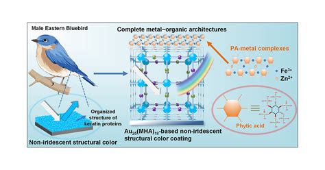 Biomimetic Self Assembling Metalorganic Architectures With Non