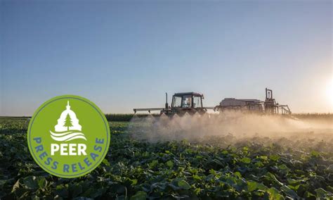 New Study Finds Alarming Rise In Persistent ‘forever Chemicals In New Study Finds Alarming Rise In Persistent ‘forever Chemicals In